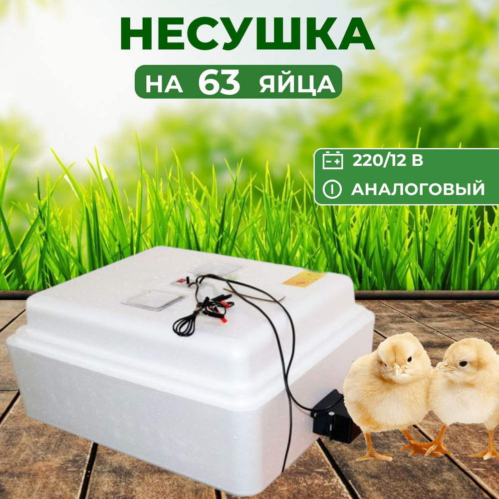 Инкубатор Несушка на 63 яйца питание 220/12 В - купить с доставкой по ...