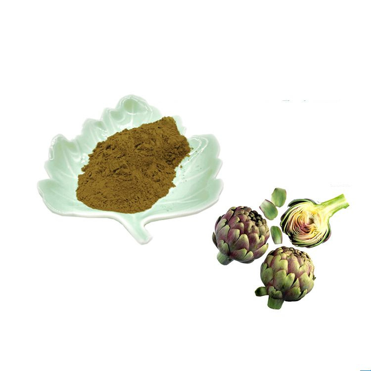 Экстракт артишока 100 г - купить с доставкой по выгодным ценам в ...