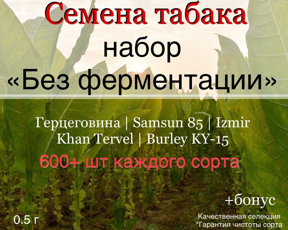 Andrey Masloff - Company табак... - купить с бесплатной доставкой в ...