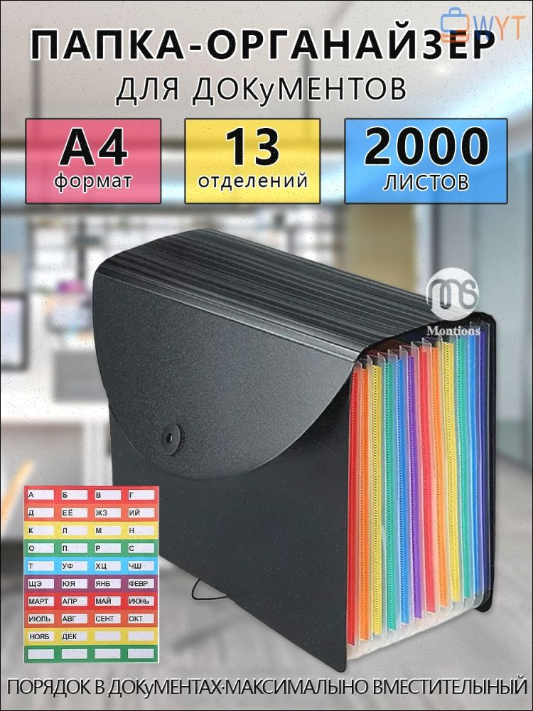 Папка-органайзер A4 (21 × 29.7 см), 1 шт. купить на OZON по низкой цене (2988399313)