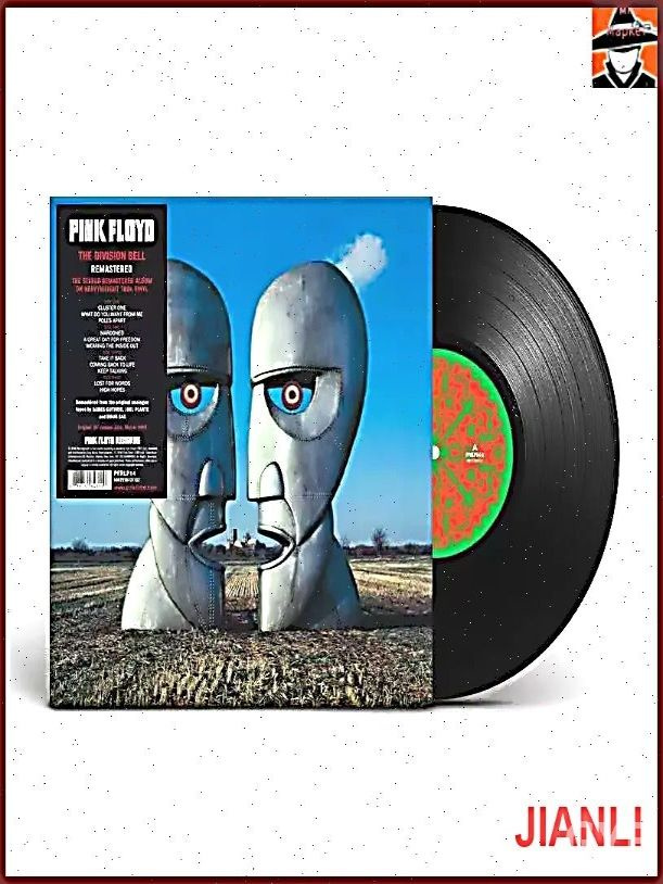 Виниловая пластинка Pink Floyd The Division Bell 2LP купить на OZON по ...