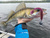 Грузик FISH GAMES Быстросъемный, вес 40г купить c доставкой на OZON по ...