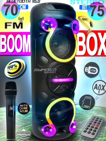 Большая беспроводная колонка с функцией караоке и беспроводным ...