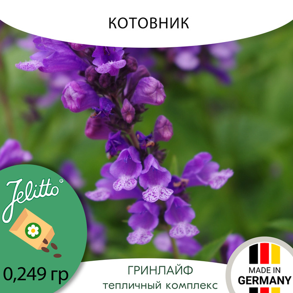 Jelitto Котовник_NA032, 0.249 г - купить с бесплатной доставкой в OZON ...