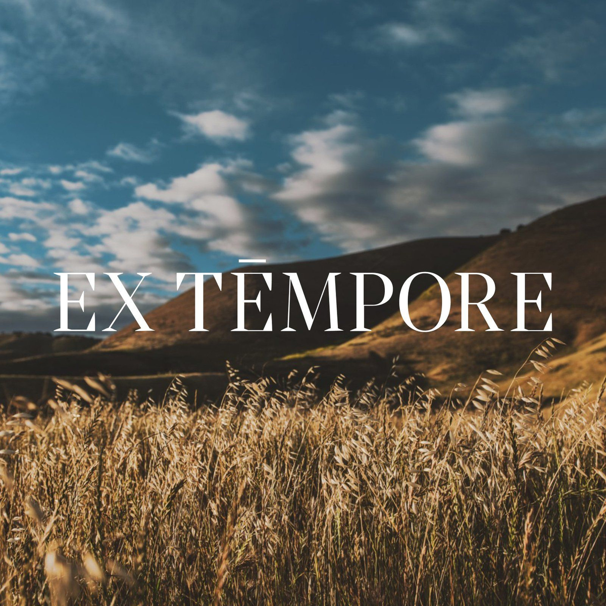 Массажное масло для тела, масло ши, Орешник EX TEMPORE 60 гр купить на ...