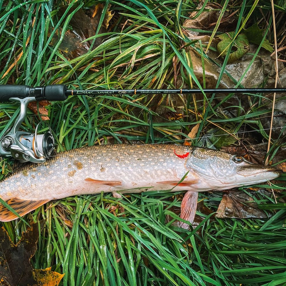 Силиконовые приманки Eleven Lures Micro Trap 1.5, 20 шт, #Ruby Red ...