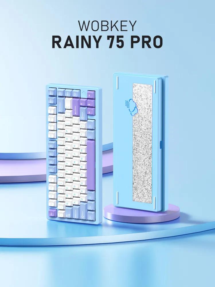 Механическая клавиатура (WOB) Wobkey Rainy 75 Pro / английская раскладка купить на OZON по ...