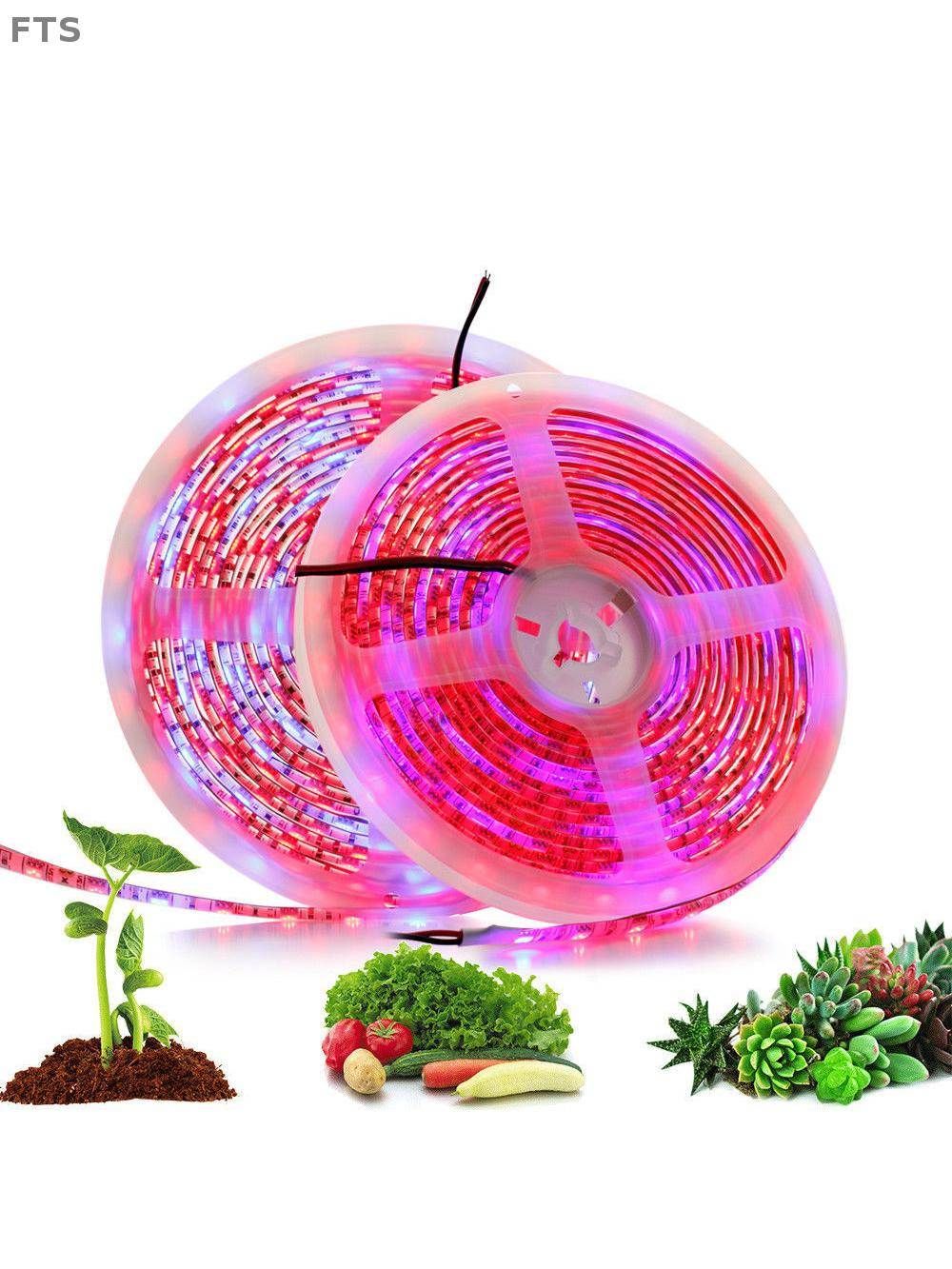 5 М светодиодные фито-лампы Full Spectrum LED Strip Light 300 ...