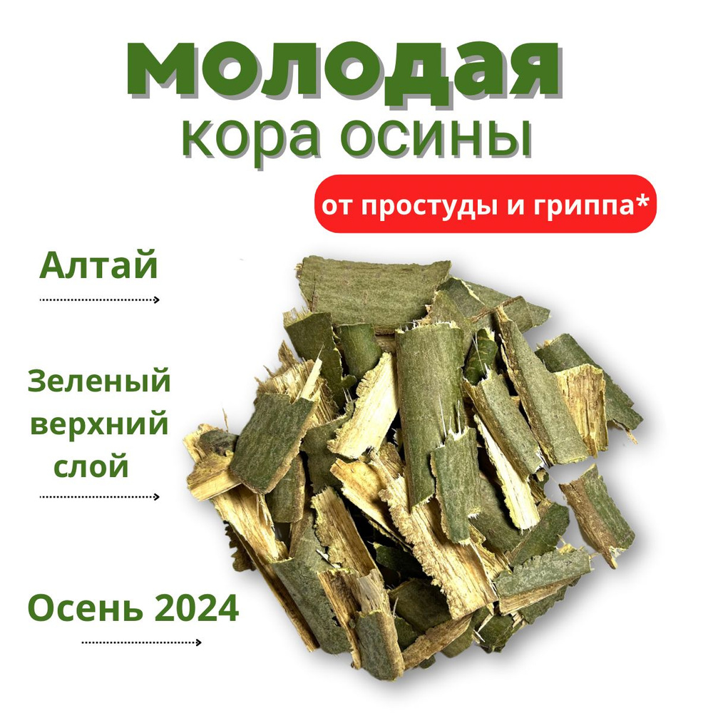 Кора осины молодая 500гр купить на OZON по низкой цене (1511298013)