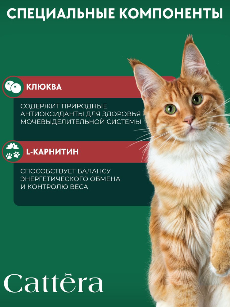 Корм для кошек сухой CATTERA полнорационный для взрослых ...