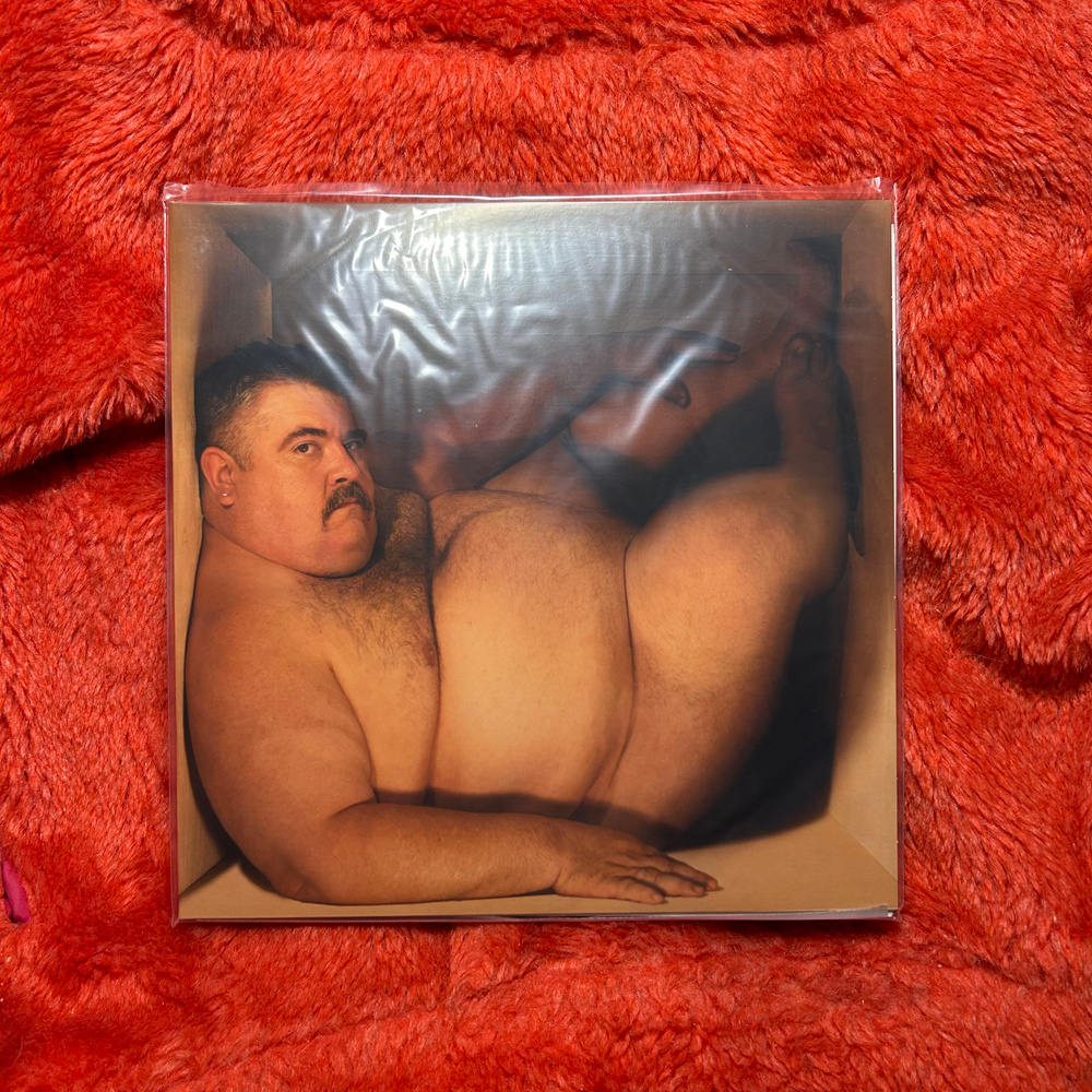 Винил Bloodhound Gang - Hefty Fine LP + буклет (США, Limited Edition Of 1000) Бладхаунд Генг ...