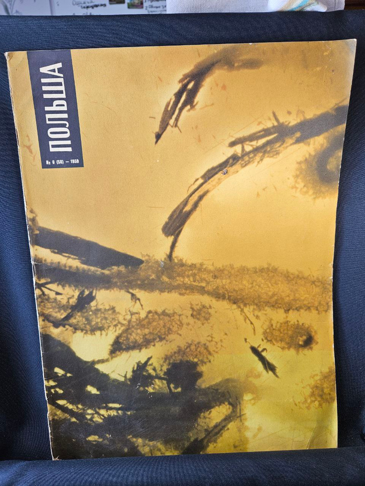 Польша. № 6 (58), 1959.Ежемесячный иллюстрированный журнал. купить на OZON по низкой цене ...