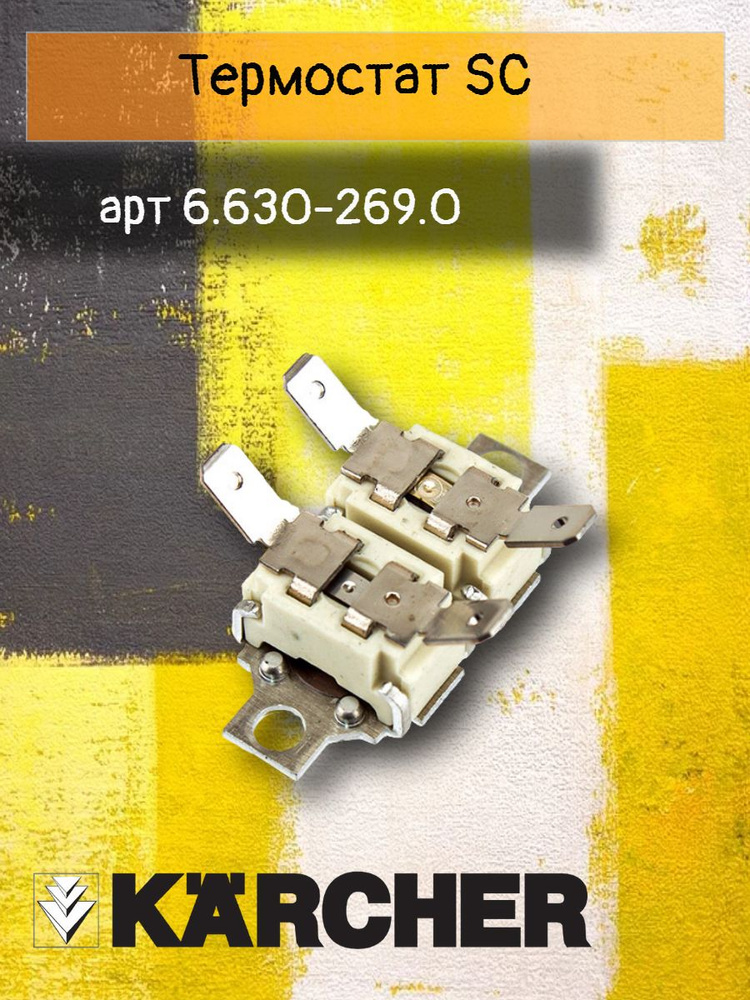 Термостат 143/260C TR-TS Discomelt 2 в сборе для пароочистителей Karcher SC 1.020, SC 1.025, SC ...