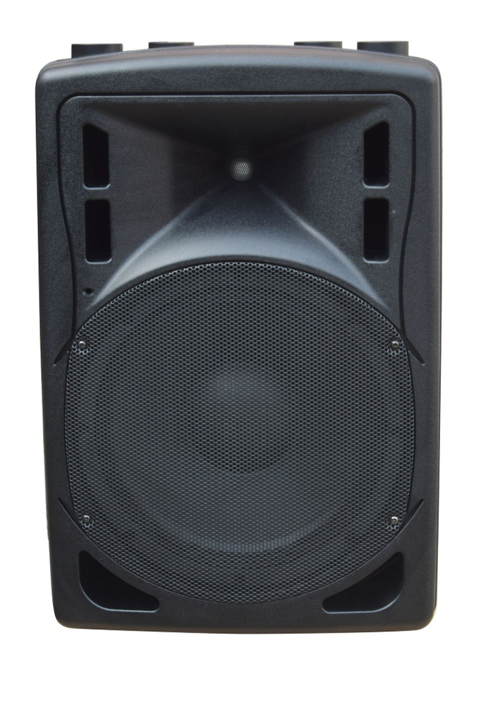 Акустическая система активная двухполосная Xline BAF-12A купить на OZON ...