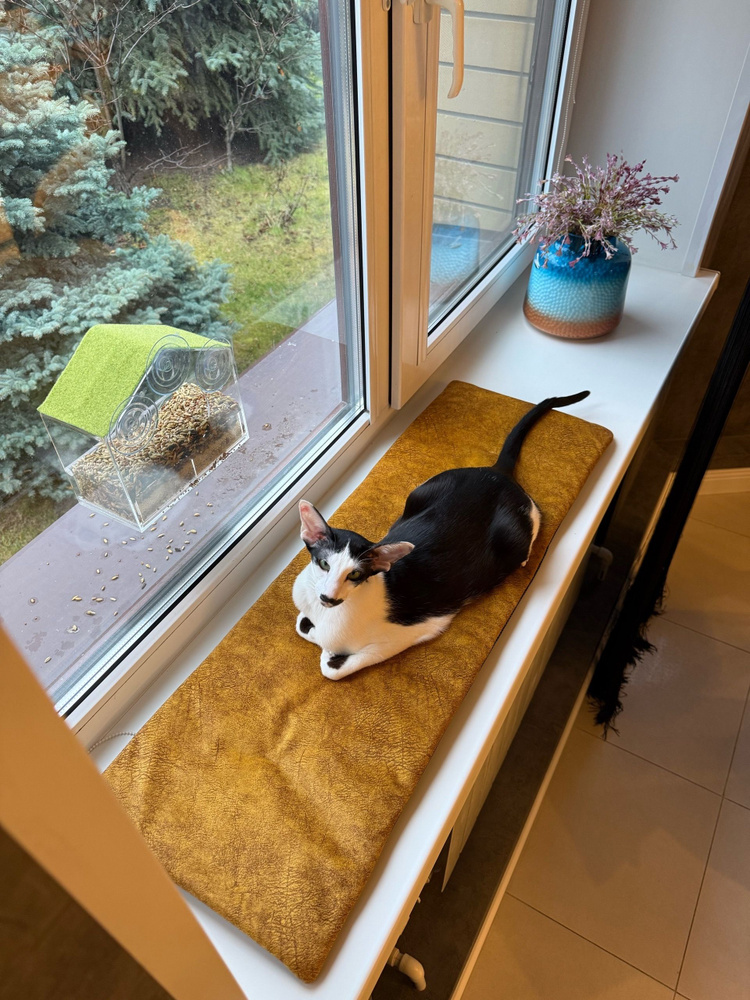 Лежанка 30*90 для кошек и собак на подоконник, на пол. Антискользящая. купить на OZON по низкой ...