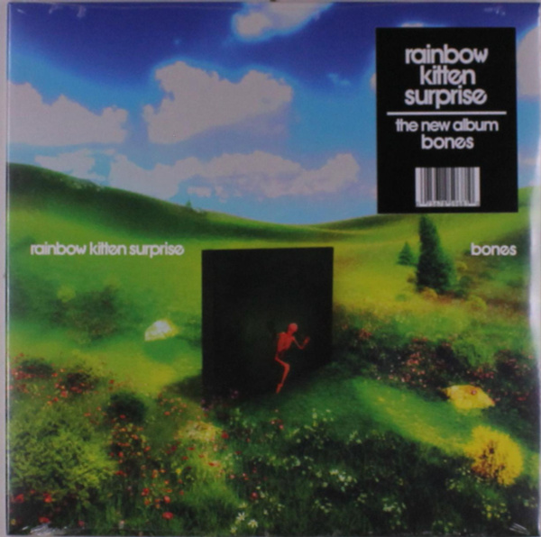 Виниловая пластинка Rainbow Kitten Surprise - bones (1 LP) купить на ...