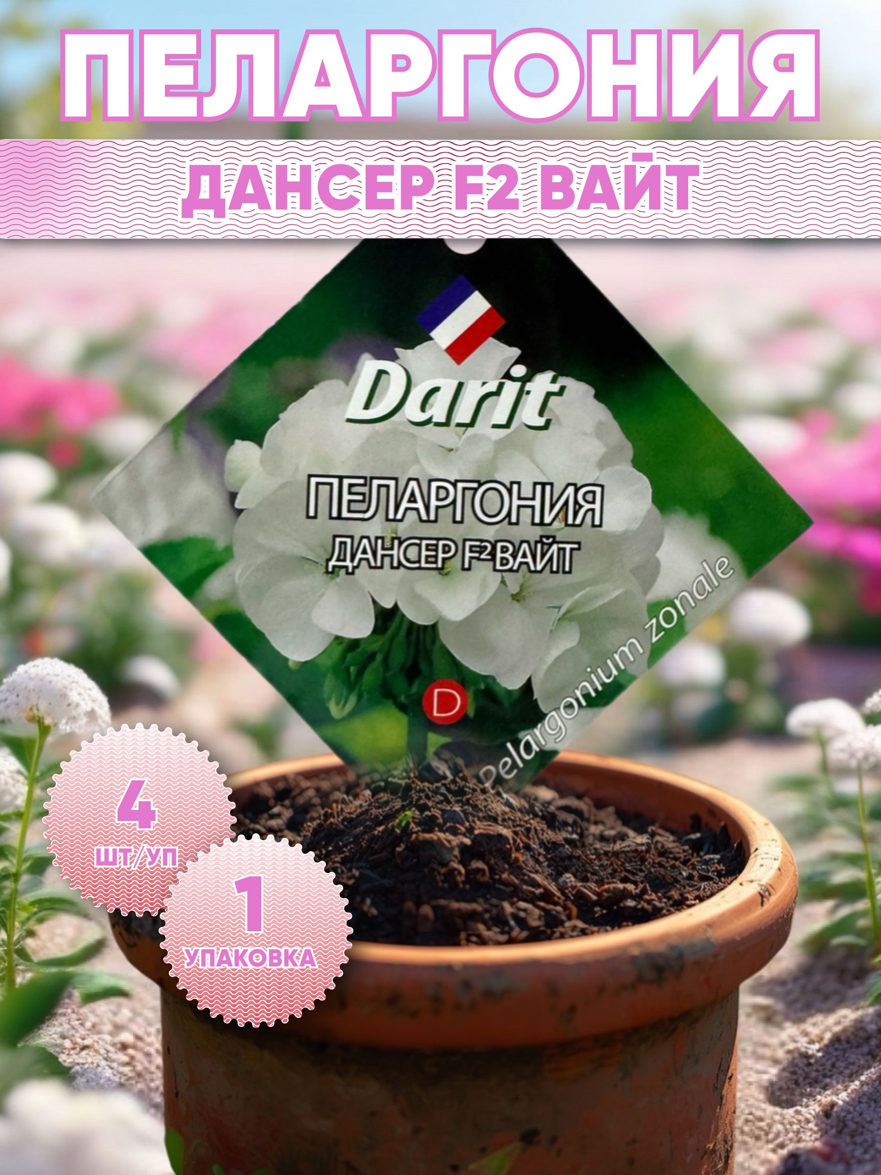 Пеларгония Darit 19851, 3 г - купить с бесплатной доставкой в OZON ...