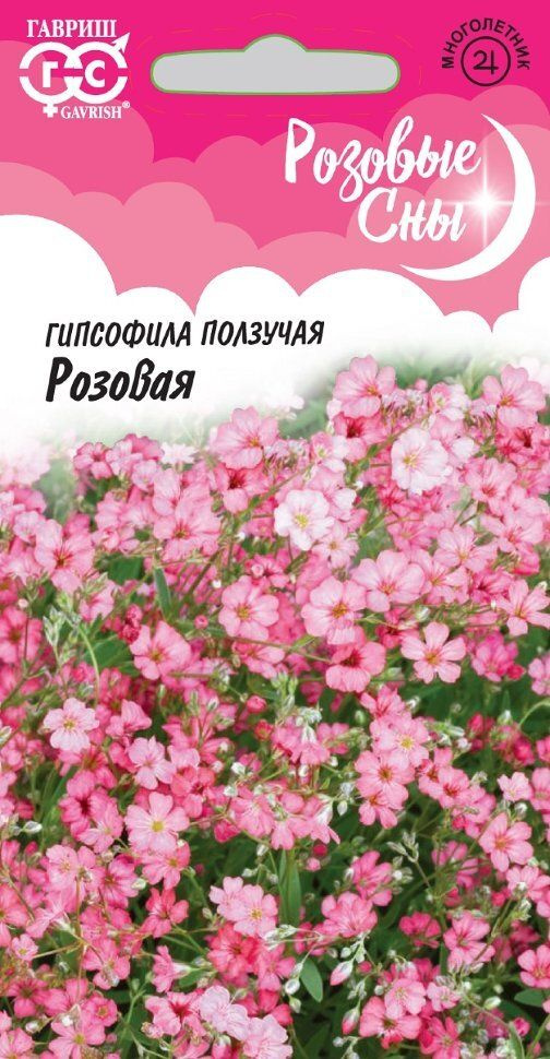 Гавриш Гипсофила Ползучая Розовая 0,1гр сер.Розовые сны /многолетник ...