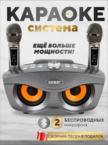 Беспроводная караоке система SDRD SD-306 Plus с двумя микрофонами серый ...