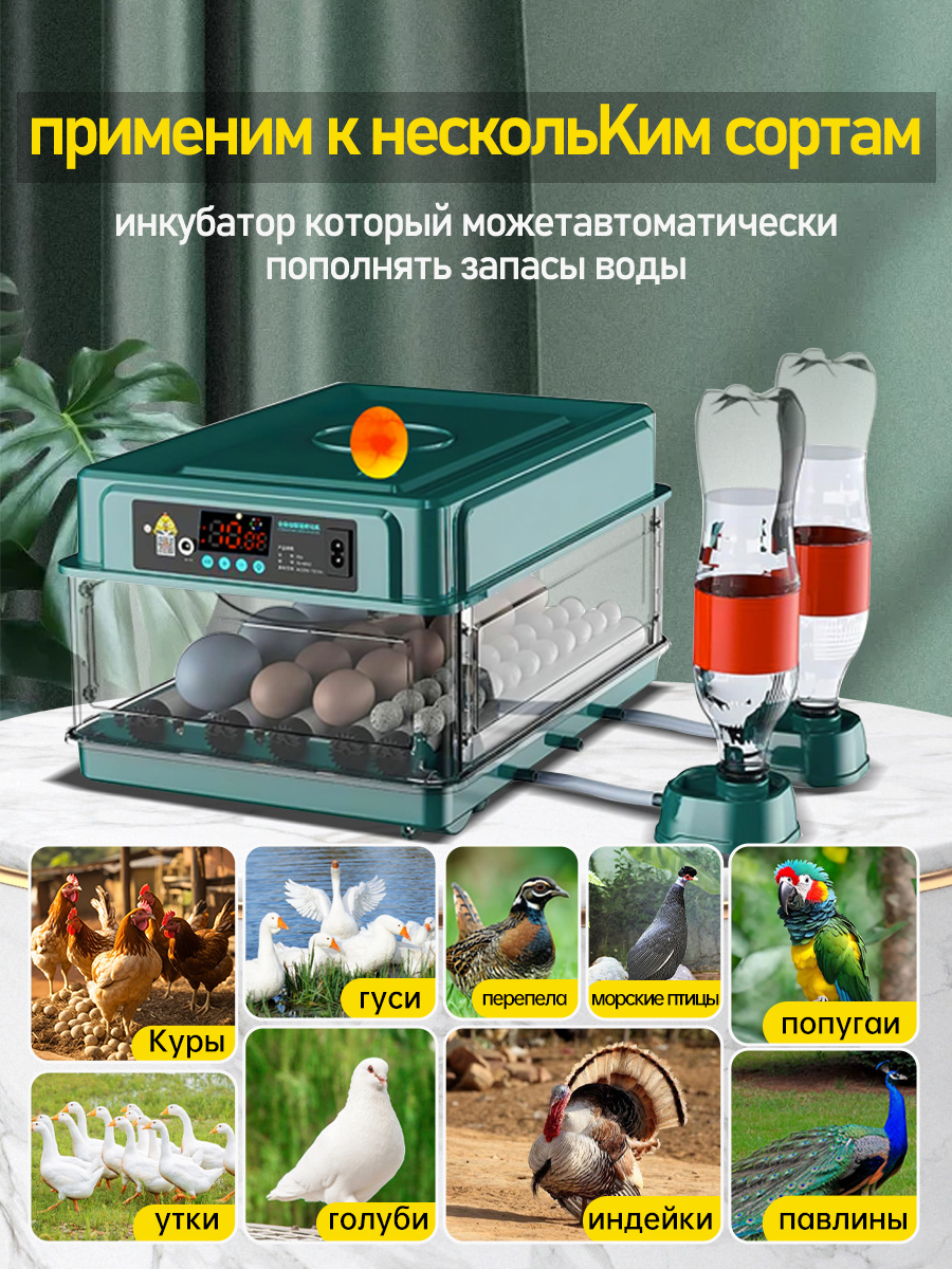 Инкубатор для яиц купить на OZON по низкой цене (1965527724)