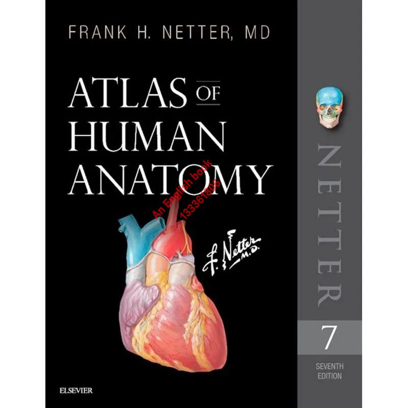 Atlas of Human Anatomy (Frank H. Netter) купить на OZON по низкой цене ...