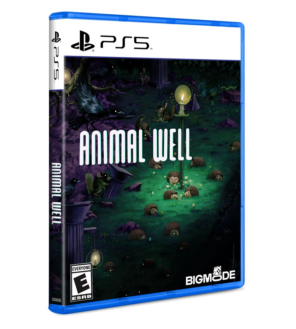 Игра Animal Well (PS5) (PlayStation 5, Русские субтитры) купить на OZON ...