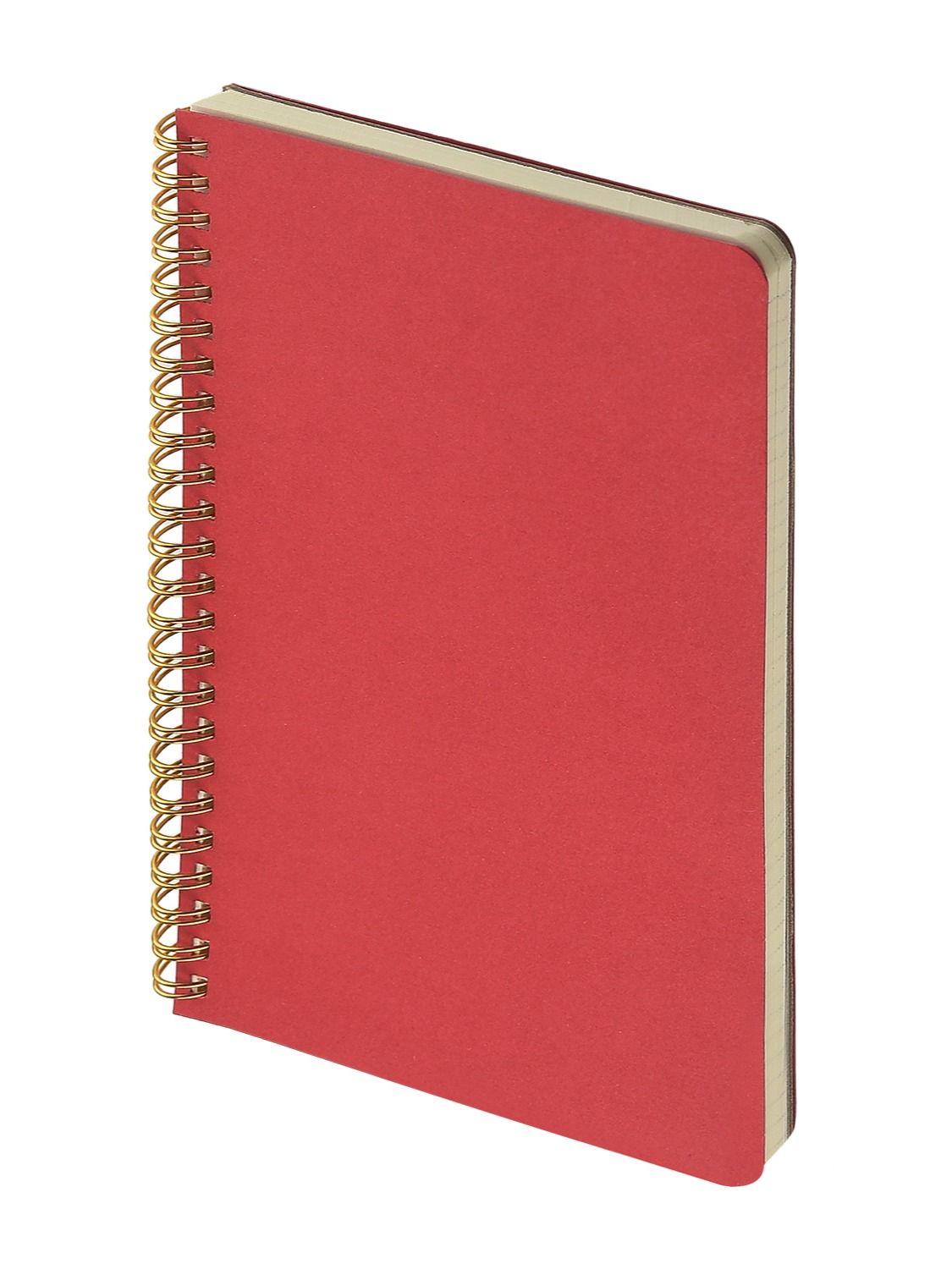 Бизнес тетрадь в клетку А5 Bruno Visconti 60 листов / тетрадь на ...