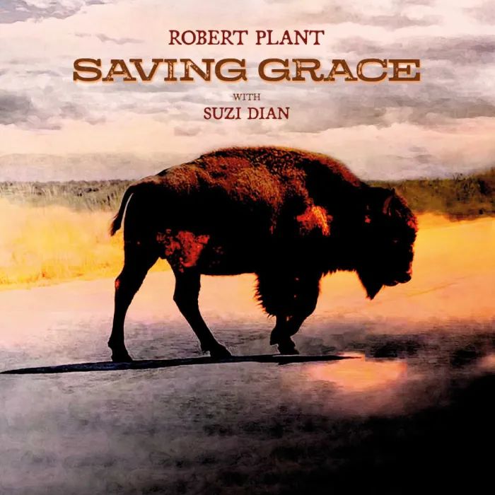 ROBERT PLANT - Saving Grace CD фирменный диск купить на OZON по низкой ...