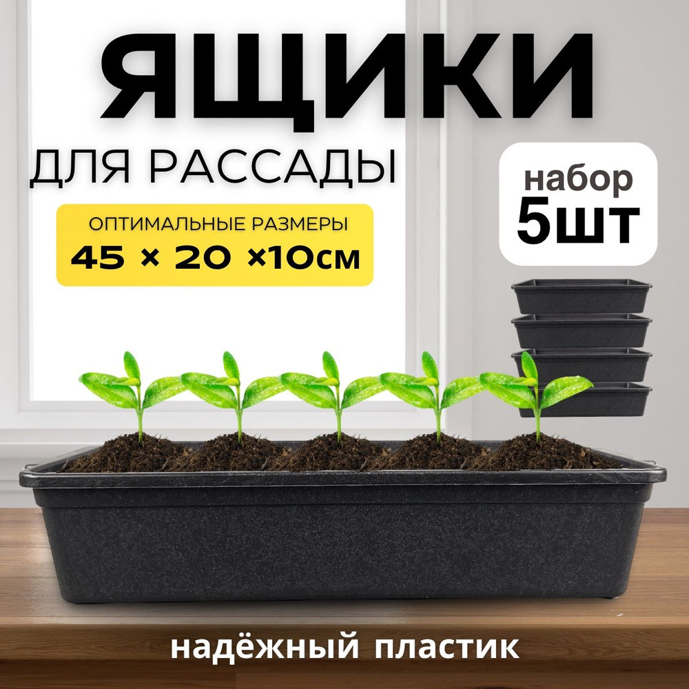 Ящик для выращивания рассады пластиковый, набор 5 штук купить по низкой ...