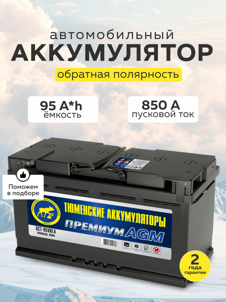 Tyumen Battery Аккумулятор автомобильный, 95 А•ч, Обратная ...