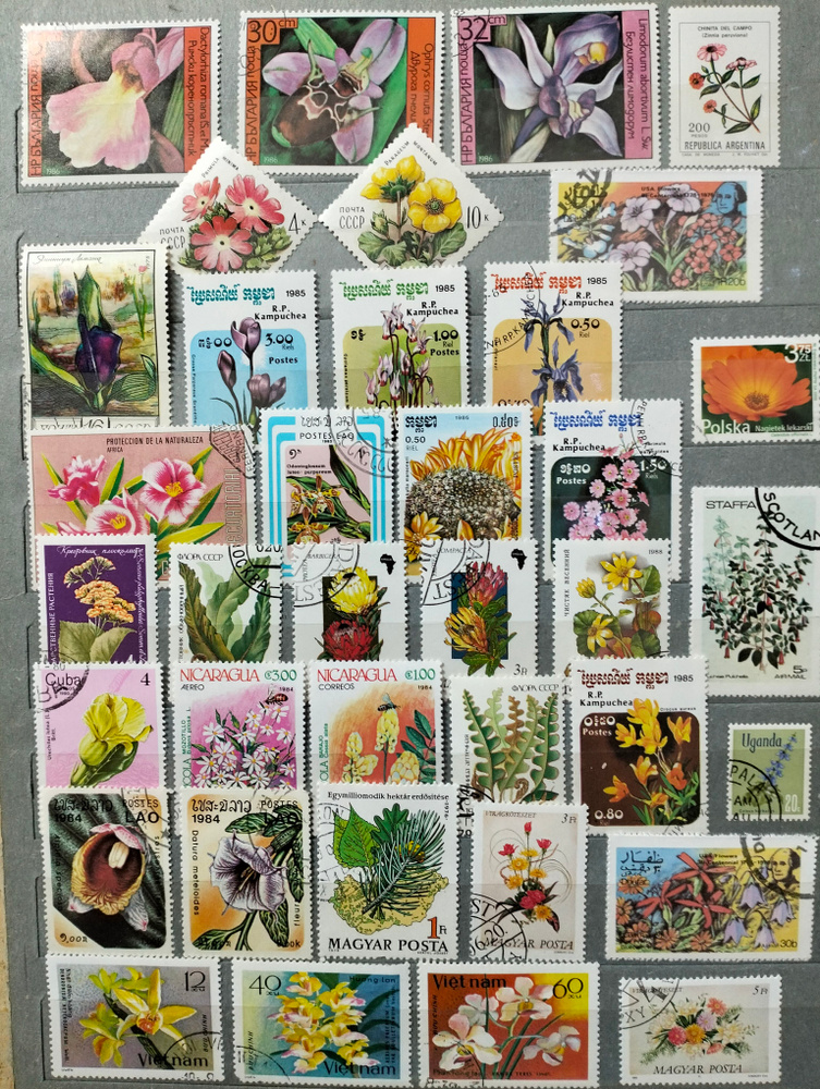 Антиквариат и коллекционирование от Капитошка – каталог интернет-магазина Капитошка на Ozon