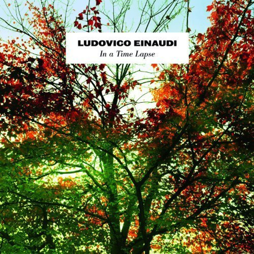 Виниловая пластинка Ludovico Einaudi - In A Time Lapse 180g 2 LP 2 LP ...