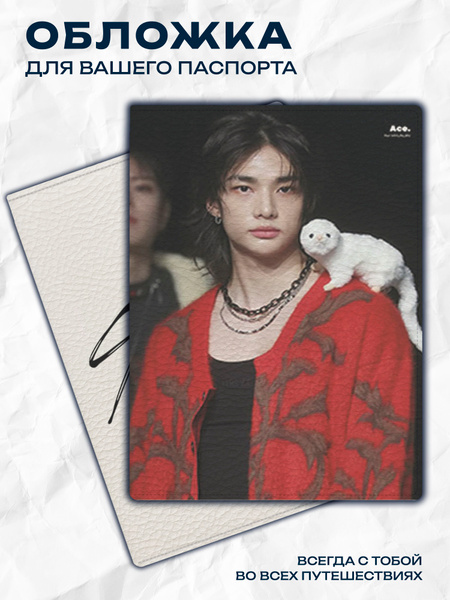 Обложка на паспорт Стрей Кидс Хёнджин Stray Kids Hyunj купить на OZON ...