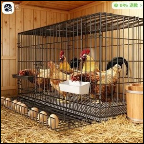 Качественная клетка для птицы с яйцесборником купить на OZON по низкой ...