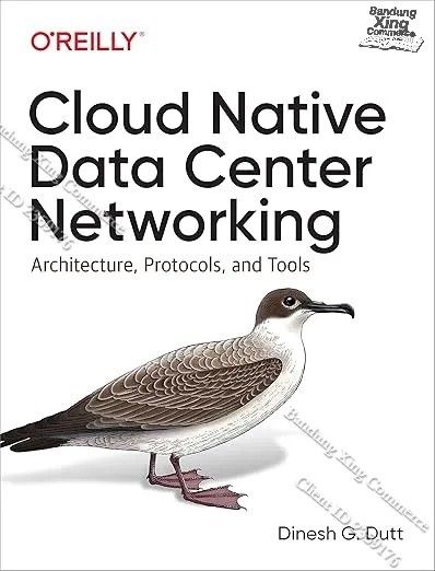 Cloud Native Data Center Networking: Architecture, Protocols, and Tools ...