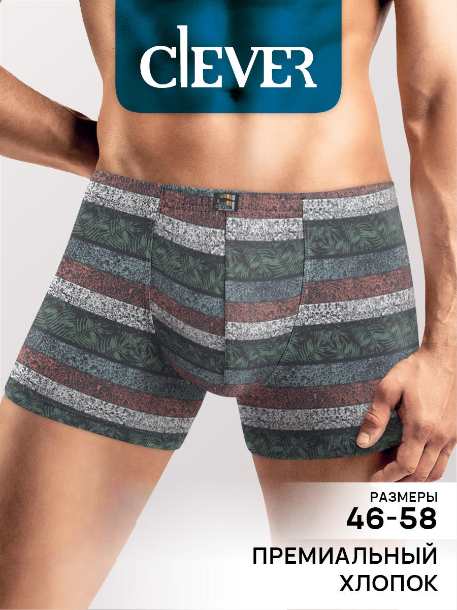 Трусы Мужской CLEVER WEAR Хлопок темно-серый, зеленый, размер 54 Китай ...
