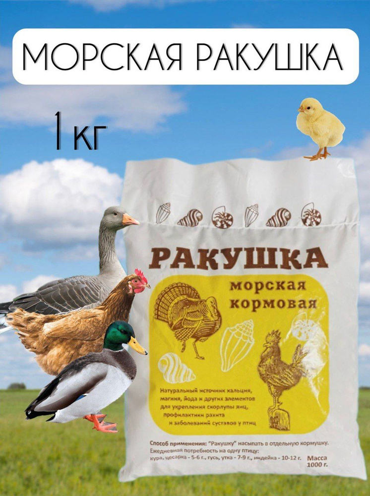 Морская ракушка для кур - купить с доставкой по выгодным ценам в ...
