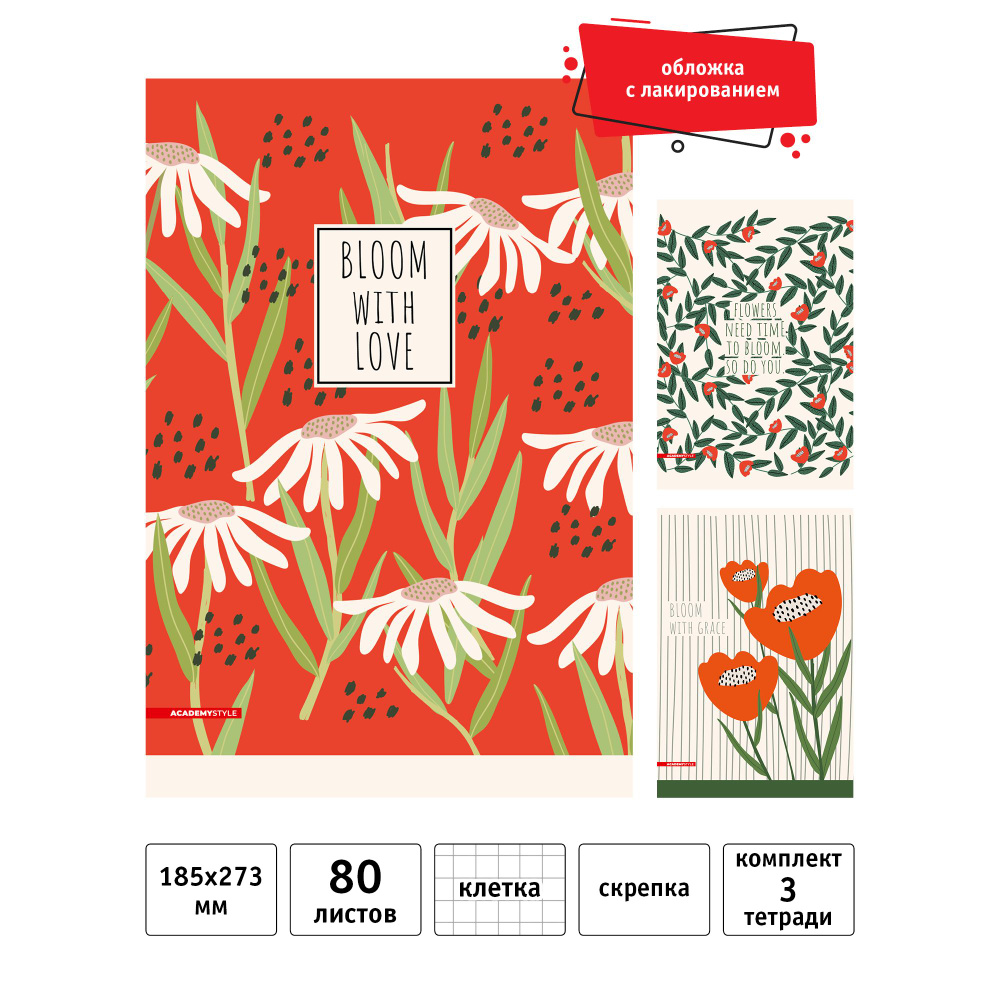 Academy Style Тетрадь, 3 шт., листов: 80 - купить с доставкой по ...