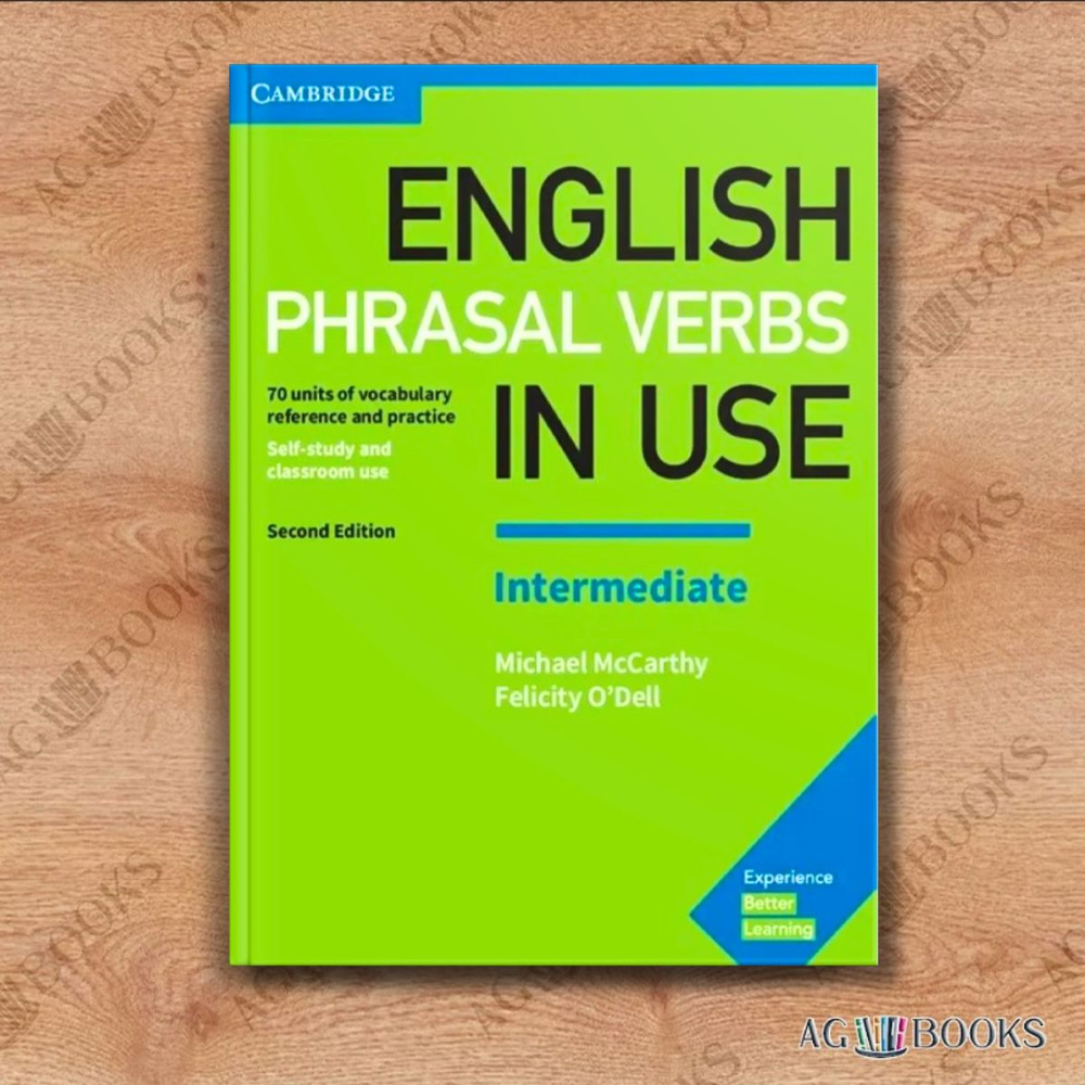 English Phrasal Verbs In Use Intermediate (2nd) | Michael McCurdy ...