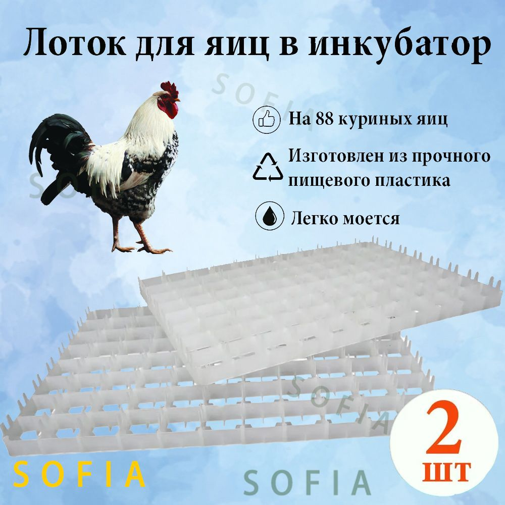 Лоток для яиц в инкубатор TC-88 (88 куриных яиц) купить на OZON по ...