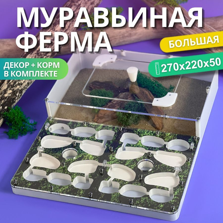 Большая муравьиная ферма AntBerry. ПОЛНЫЙ комплект. Формикарий для ...
