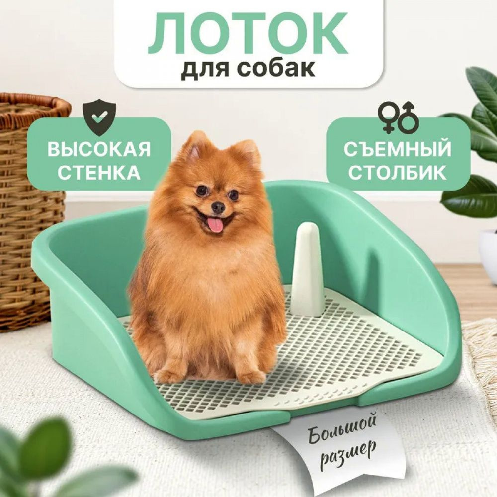Лоток туалет для собак со столбиком, Зеленый. купить на OZON по низкой ...