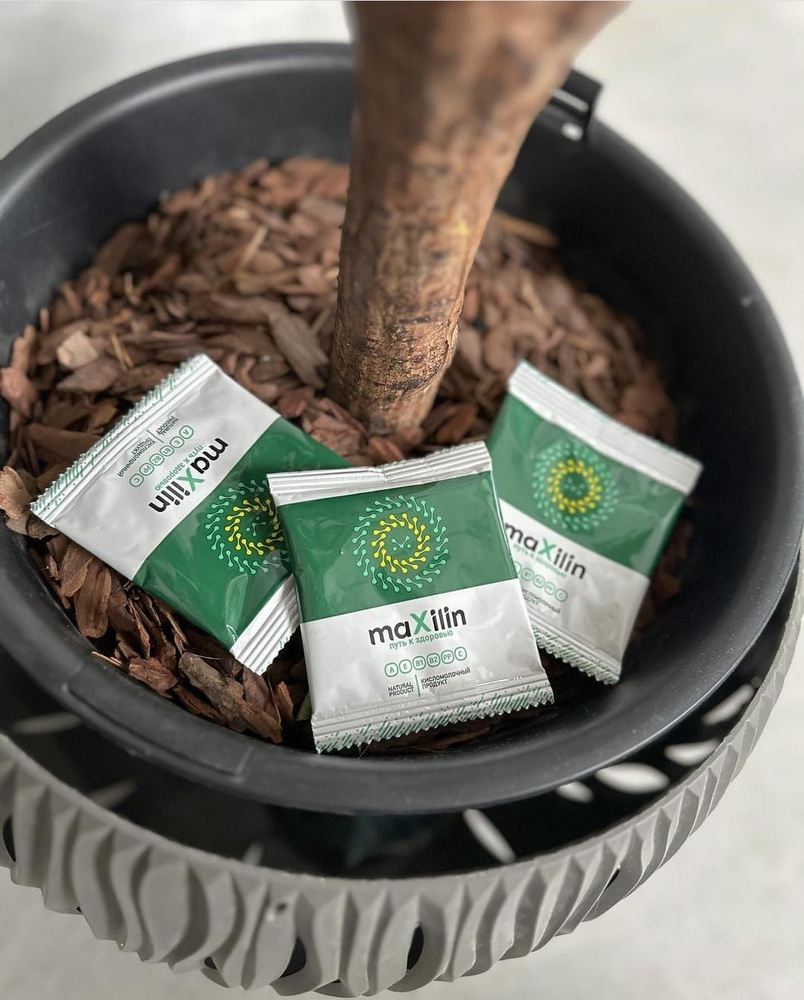 Максилин Maxilin Energy Max пробиотик для иммунитета пробный курс 10 шт ...