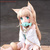 ержатель для мобильного телефона Binary Anime Cat Lady купить на OZON ...