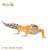 CollectA Эублефар (Leopard Gecko), фигурка рептилии, коллекционная ...