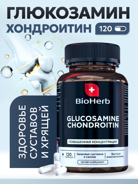 BioHerb Глюкозамин Хондроитин для суставов, 120 капсул купить на OZON по низкой цене (1769046095)