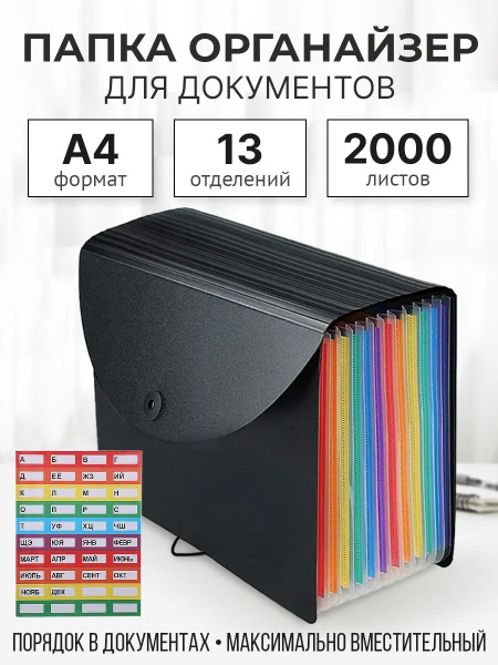 montions Папка A4 (21 × 29.7 см), 1 шт. купить на OZON по низкой цене (2915529445)