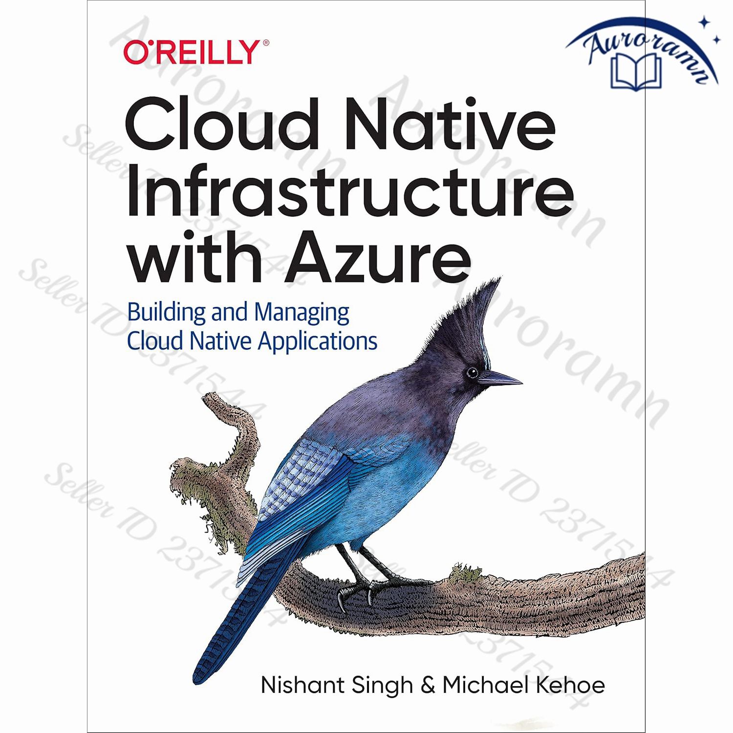 Cloud Native Infrastructure with Azure: Building and Managing Cloud Native Applications Reprint ...