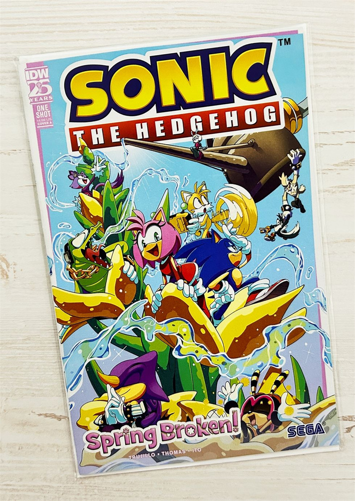 Sonic The Hedgehog: Spring Broken! купить на OZON по низкой цене ...