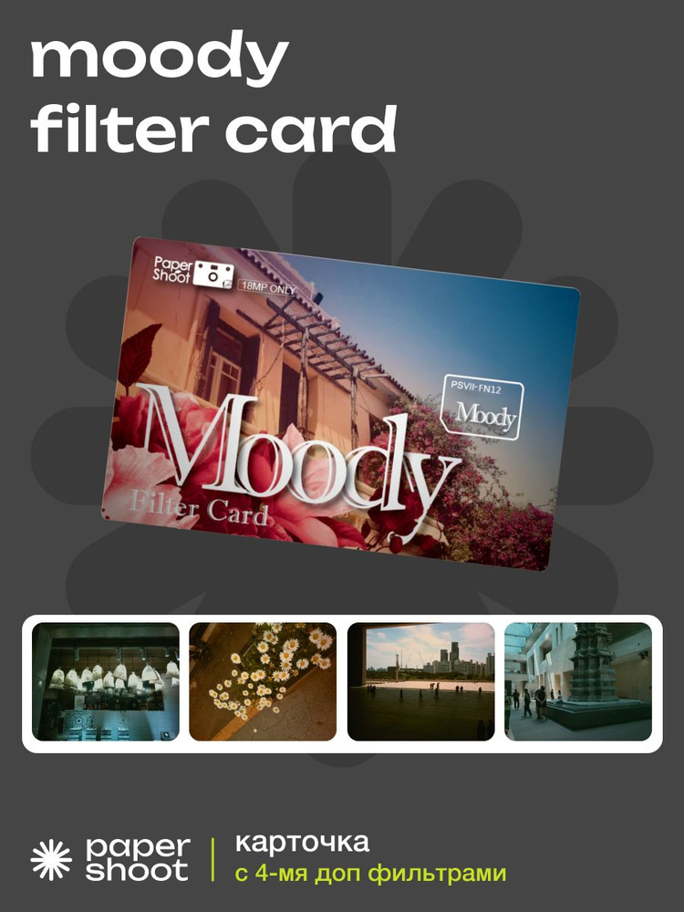 Дополнительный фильтр для камеры PaperShoot - Moody filter card купить ...
